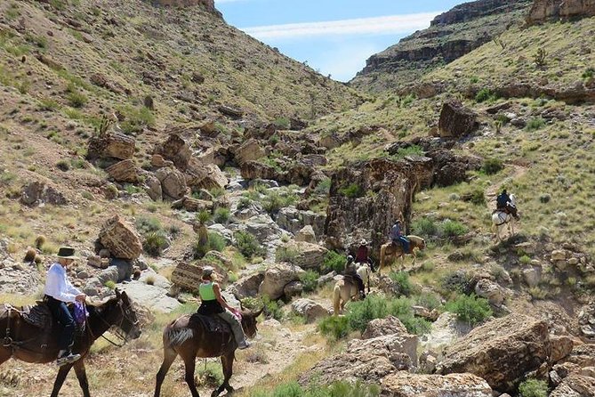 2-Hour Horseback Riding through Red Rock Canyon - Final Thoughts: Who Will Love This?