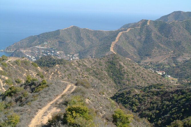 2 hour Inside Adventure Tour on Catalina Island - An In-Depth Look at the 2-Hour Inside Adventure Tour