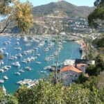2 hour Inside Adventure Tour on Catalina Island - Authentic Feedback from Guests