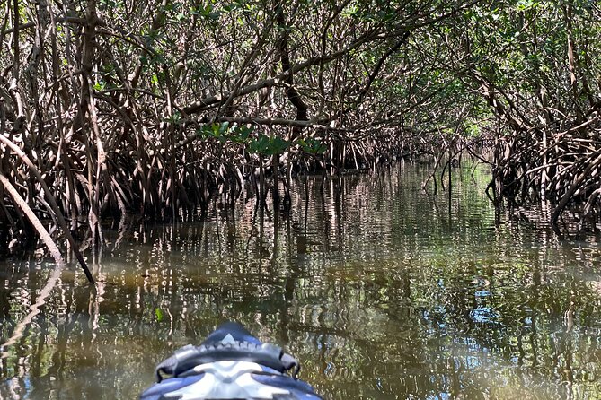 2- Hour Jungle Tour at Prehistoric Preserve Site in Fort Pierce - Final Thoughts