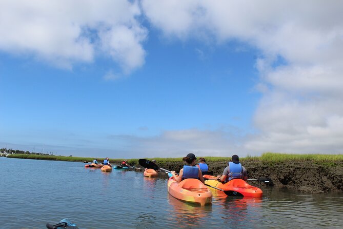 2-Hour Kayak Rental in Cape May per person - The Sum Up