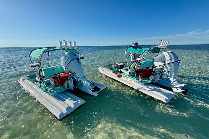 2 Hour Key West Mini Catamaran Eco Tour - The Value for Money