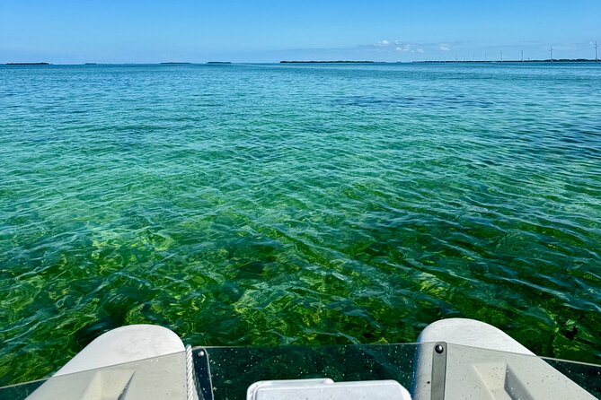 2 Hour Key West Mini Catamaran Eco Tour - Frequently Asked Questions