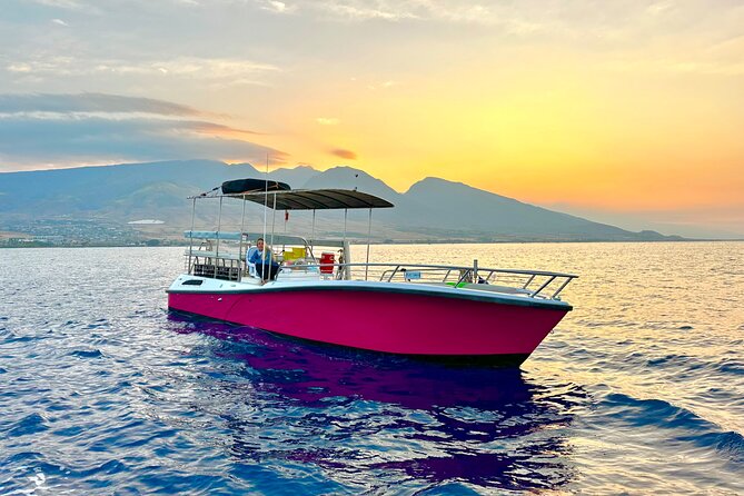 2 hour Lahaina Sunrise Whale Watch - The Experience in Detail
