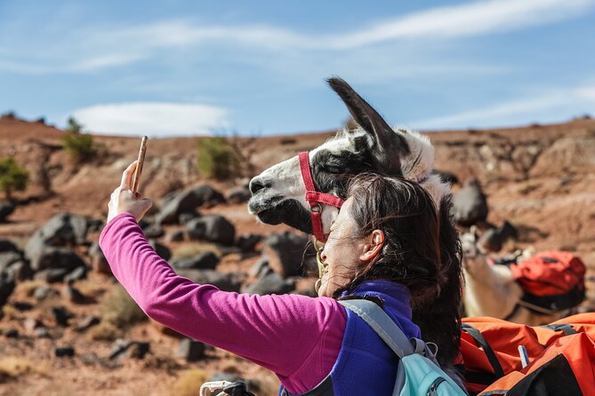 2-Hour Llama Hike - Exploring the Details of the 2-Hour Llama Hike