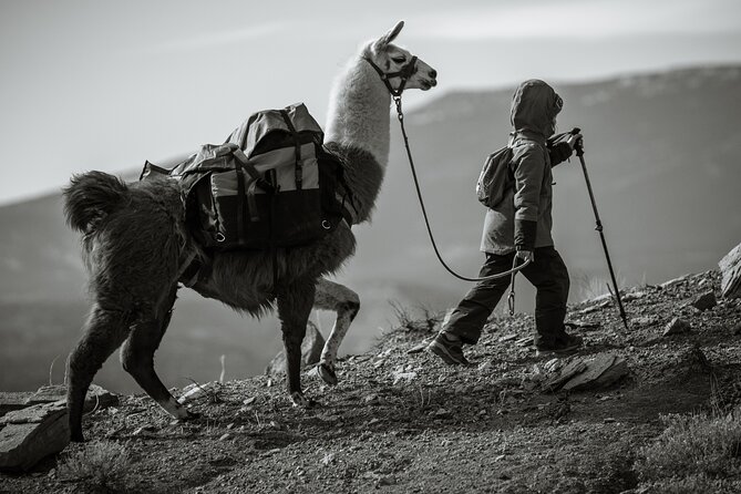 2-Hour Llama Hike - FAQs