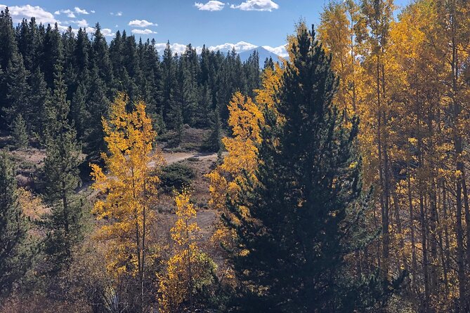 2-Hour Mineral Belt Guided E-Bike Tour in Leadville - Final Word