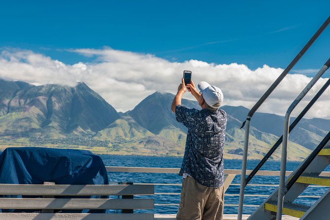 2-Hour Oahu Whale Watch from Ala Wai Harbor, Waikiki - Introduction