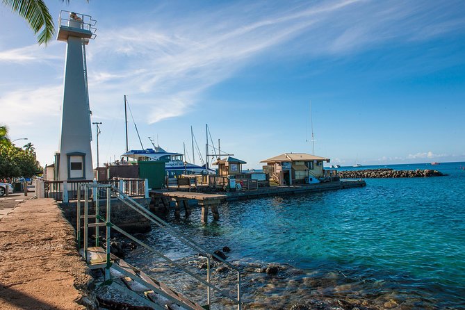 2-Hour Oahu Whale Watch from Ala Wai Harbor, Waikiki - A Closer Look at the 2-Hour Whale Watch Experience