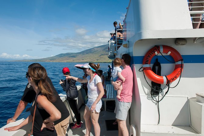 2-Hour Oahu Whale Watch from Ala Wai Harbor, Waikiki - Considerations & Tips