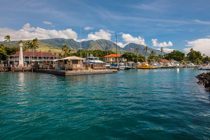 2-Hour Oahu Whale Watch from Ala Wai Harbor, Waikiki - Practical Details & Booking Insights