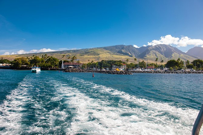 2-Hour Oahu Whale Watch from Ala Wai Harbor, Waikiki - Final Thoughts