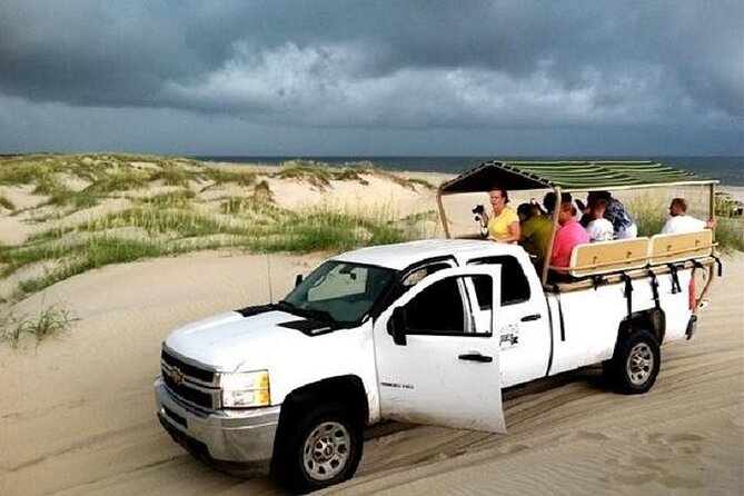 2-hour Outer Banks Wild Horse Tour by 4WD Truck - An Authentic Look at the Outer Banks Wild Horse Tour