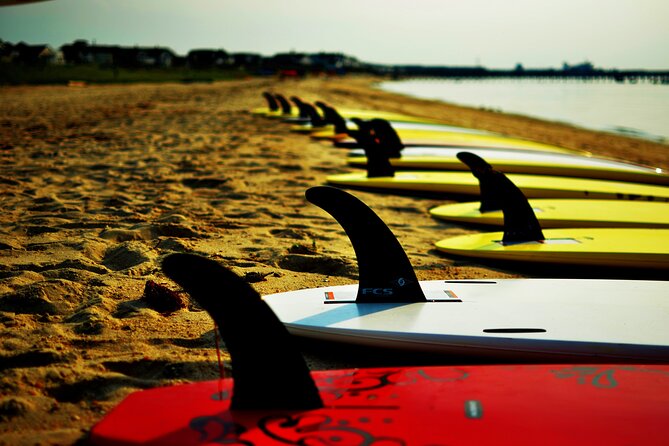2-Hour Paddleboard Rental in Rehoboth Bay - What Makes This Paddleboard Experience Stand Out?