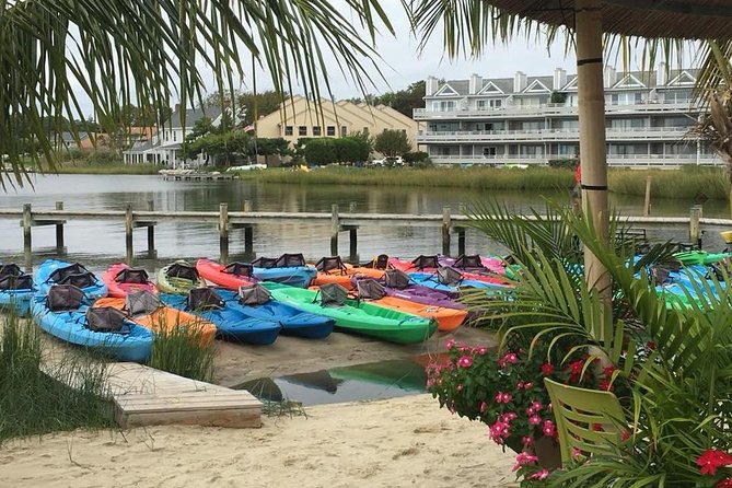 2-Hour Paddleboard Rental in Rehoboth Bay - Who Will Enjoy This Experience?