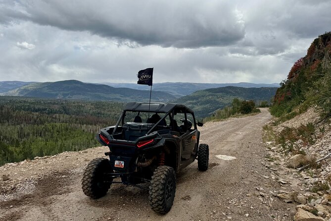 2 Hour Park City UTV Adventure Rental (4 Seater RZR) - What Reviewers Say