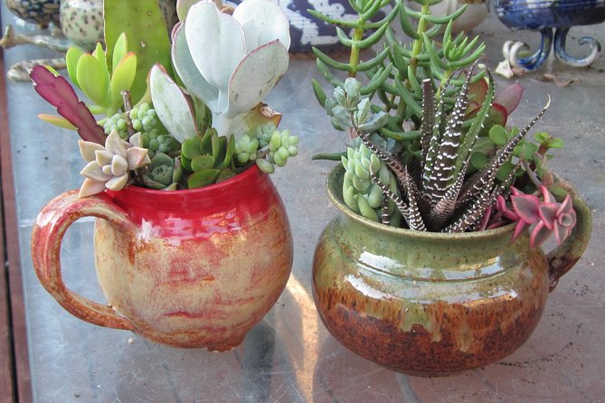 2- Hour Pottery Workshop and Studio Tour in Ojai - A Deep Dive into the Experience