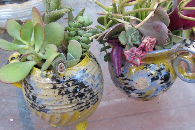 2- Hour Pottery Workshop and Studio Tour in Ojai - Final Thoughts