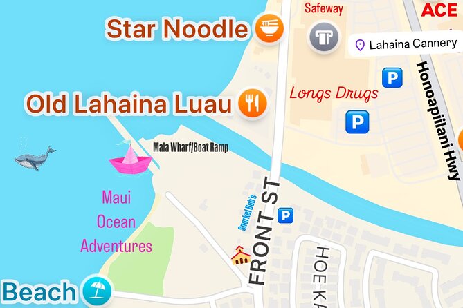 2 Hour Prime Time Maui Whale Watching - Why This Tour Stands Out