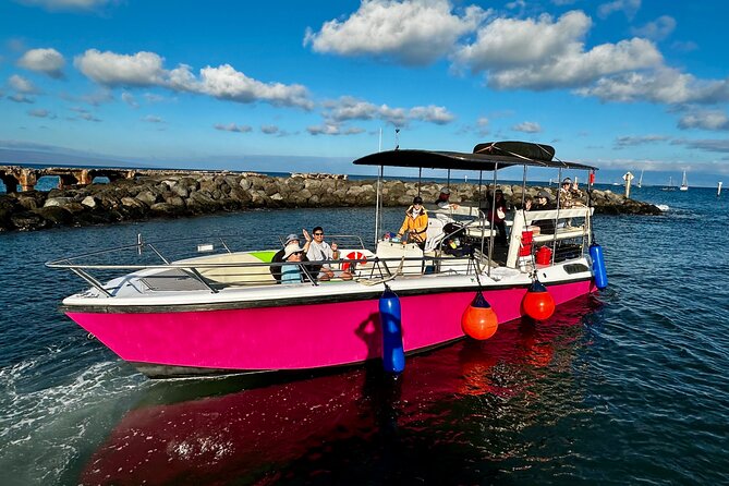 2 Hour Prime Time Maui Whale Watching - Final Thoughts