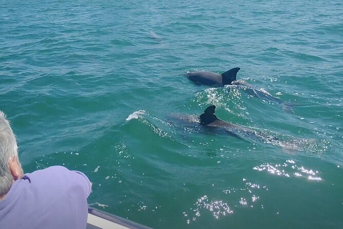 2-hour Private Boat Tour in Clearwater Florida - The Sum Up: Who Should Consider This Tour?