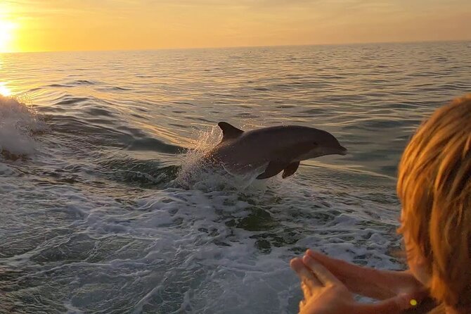 2 Hour Private Dolphin and Sightseeing Tour Shell Island - An Honest Look at the 2 Hour Private Dolphin and Sightseeing Tour Shell Island