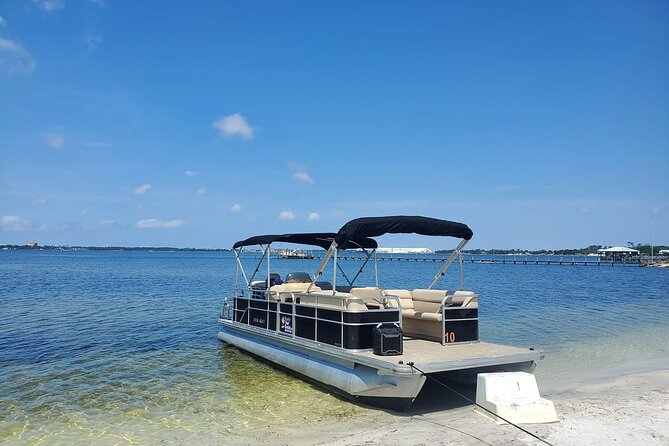 2 Hour Private Dolphin and Sightseeing Tour Shell Island - Why This Tour Works Well