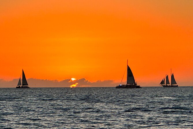2 Hour Private Dolphin and Sightseeing Tour Shell Island - The Sum Up