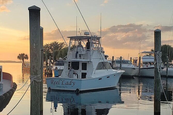 2 Hour Private Dolphin Sightseeing Tour - A Close-Up of Panama City Beach’s Marine World: The 2 Hour Private Dolphin Sightseeing Tour