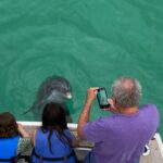 2 Hour Private Dolphin Sightseeing Tour - Exploring the Tour Itinerary in Detail