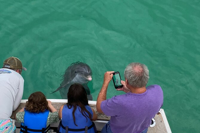 2 Hour Private Dolphin Sightseeing Tour - Exploring the Tour Itinerary in Detail