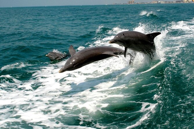 2 Hour Private Dolphin Sightseeing Tour - What to Expect at Each Stop