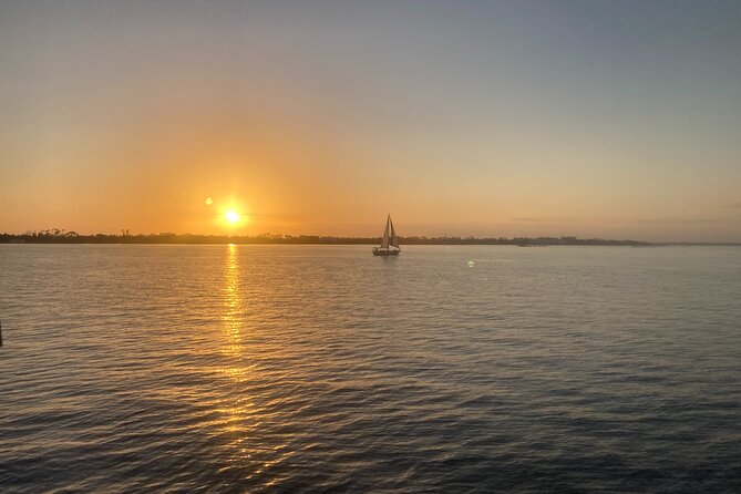 2 Hour Private Dolphin Sightseeing Tour - The Sum Up: Is This Tour Worth It?