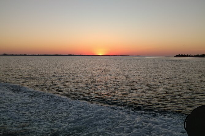 2-Hour Private Sightseeing Dolphin Tour in Panama City Beach - The Real Experience — What Travelers Are Saying