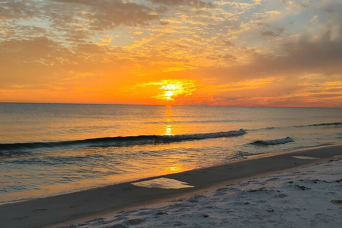 2-Hour Private Sightseeing Dolphin Tour in Panama City Beach - Practical Tips for Booking and Enjoying Your Tour