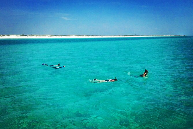 2-Hour Private Sightseeing Dolphin Tour in Panama City Beach - FAQ