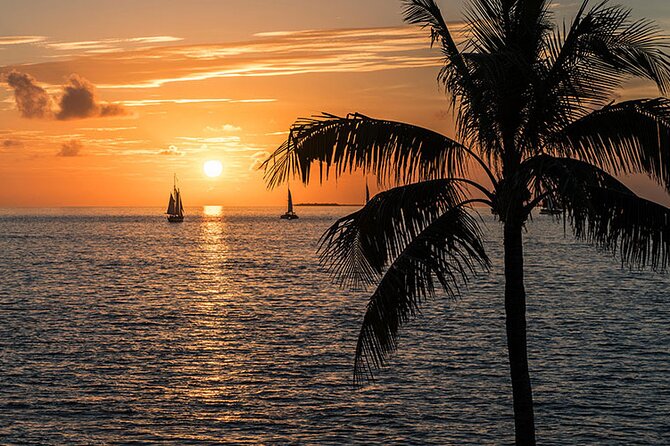 2-Hour Private Sunset Cruise on a Tiki Bar Boat in Key West - Who Should Consider This Tour?