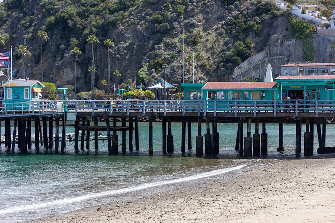 2 Hour Private Tour of Avalon - Key Points