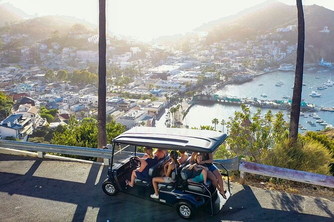 2 Hour Private Tour of Avalon - Who Will Love This Tour?
