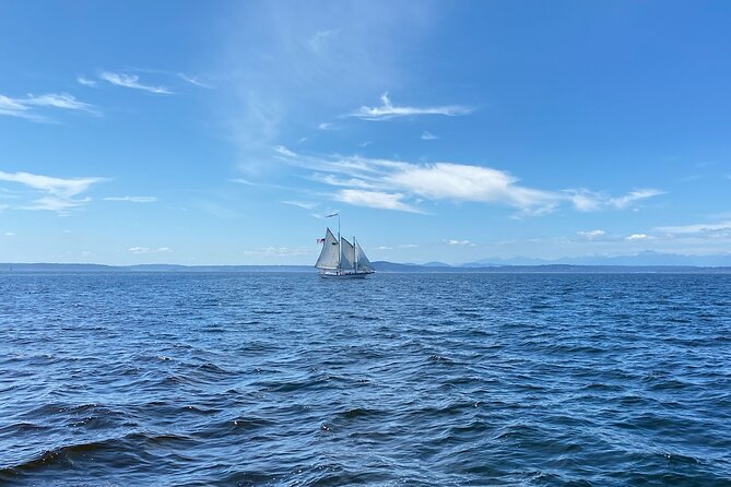 2-Hour Seattle Sailing Harbor Tour - Experience Overview
