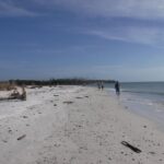 2-hour Shelling Boat Tour in the 10,000 Islands - Who Will Love This Tour?