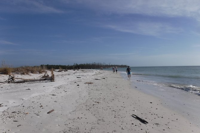 2-hour Shelling Boat Tour in the 10,000 Islands - Who Will Love This Tour?