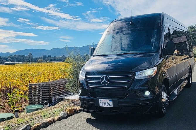2 Hour Sightseeing Small Group Guided Tour in San Francisco - The Experience: What to Expect on This San Francisco Tour