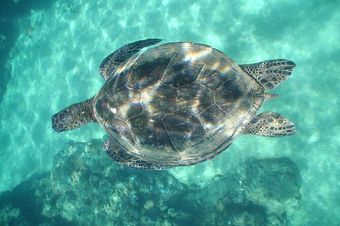 2-Hour Snorkeling Adventure in Kauai - Who Should Book This Tour?