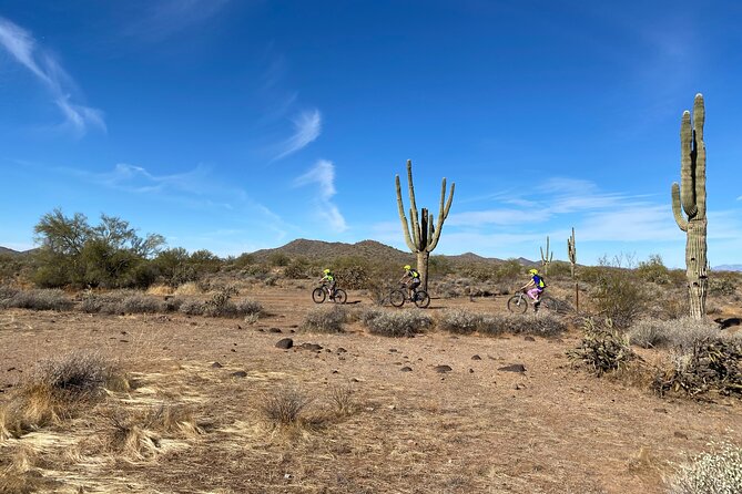 2 Hour Sonoran Desert Private Guided Mountain Bike Tour - Discovering the Landscape