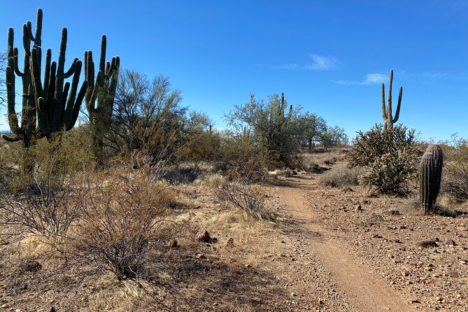 2 Hour Sonoran Desert Private Guided Mountain Bike Tour - What’s Included and the Value