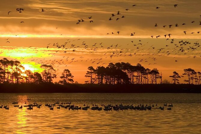 2-Hour Sunset Pontoon Boat Rental in Chincoteague Island, VA - What to Expect from the Sunset Pontoon Tour