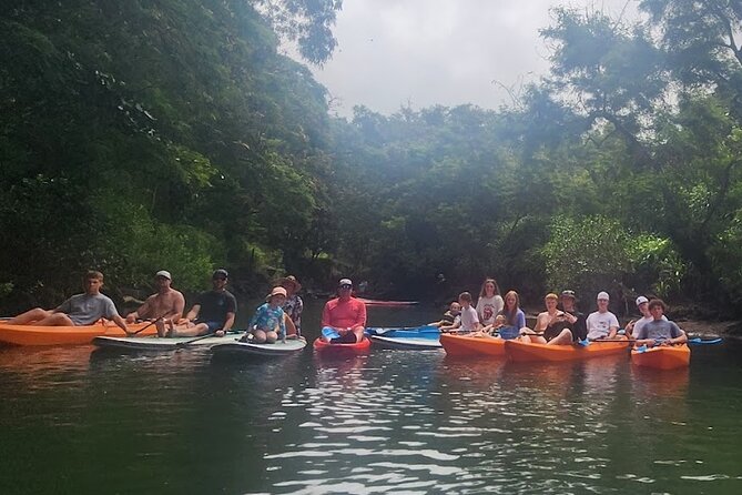 2 hour tandem kayak rental at our private launch area in Hale'iwa - The Full Experience: What to Expect from the Kayak Rental