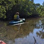 2 Hour Tandem Kayak Tour (Price for 2 People) - Why This Tour Offers Great Value