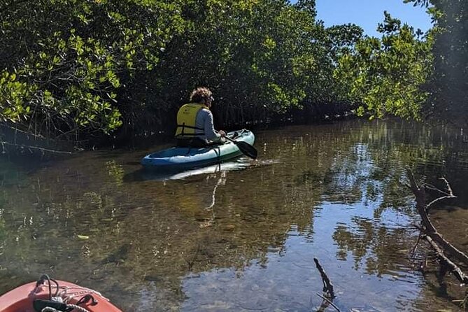 2 Hour Tandem Kayak Tour (Price for 2 People) - Why This Tour Offers Great Value